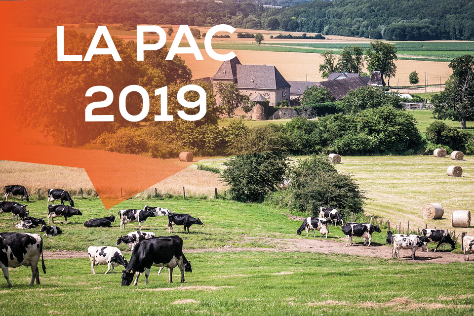 DÉCLARATION PAC 2019